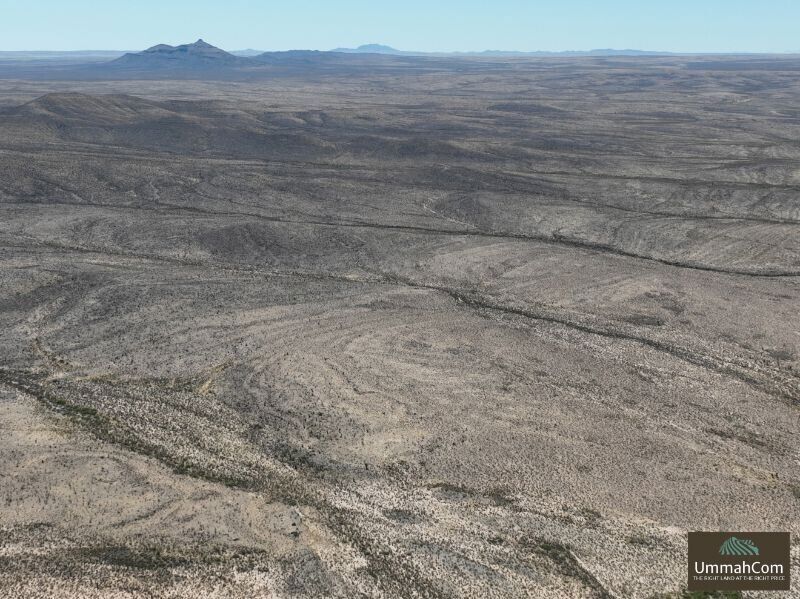 Bid4Assets.com > Auction Detail > (1270475) Hudspeth County Texas, 10 ...