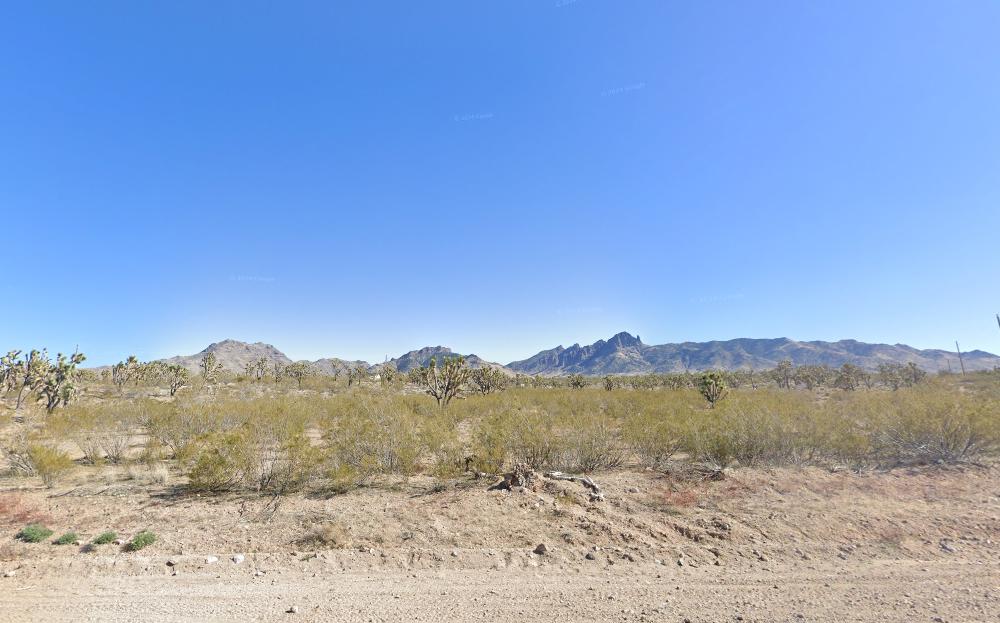 Bid4Assets.com > Auction Detail > (1240603) Nolan Dr., Dolan Springs ...