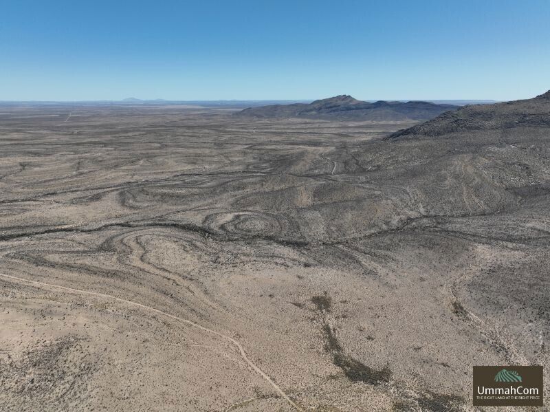 Bid4Assets.com > Auction Detail > (1270475) Hudspeth County Texas, 10 ...