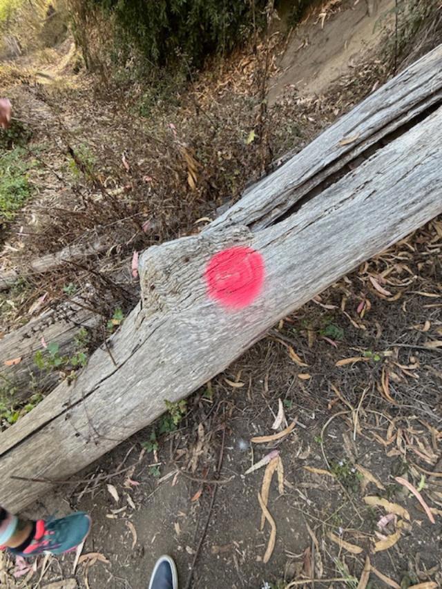 Bid4Assets.com > Auction Detail > (1239419) El Granada Highlands 7100 ...