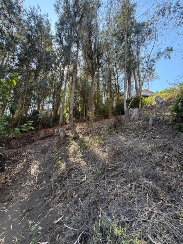 Bid4Assets.com > Auction Detail > (1241515) El Granada Highlands 7100 ...