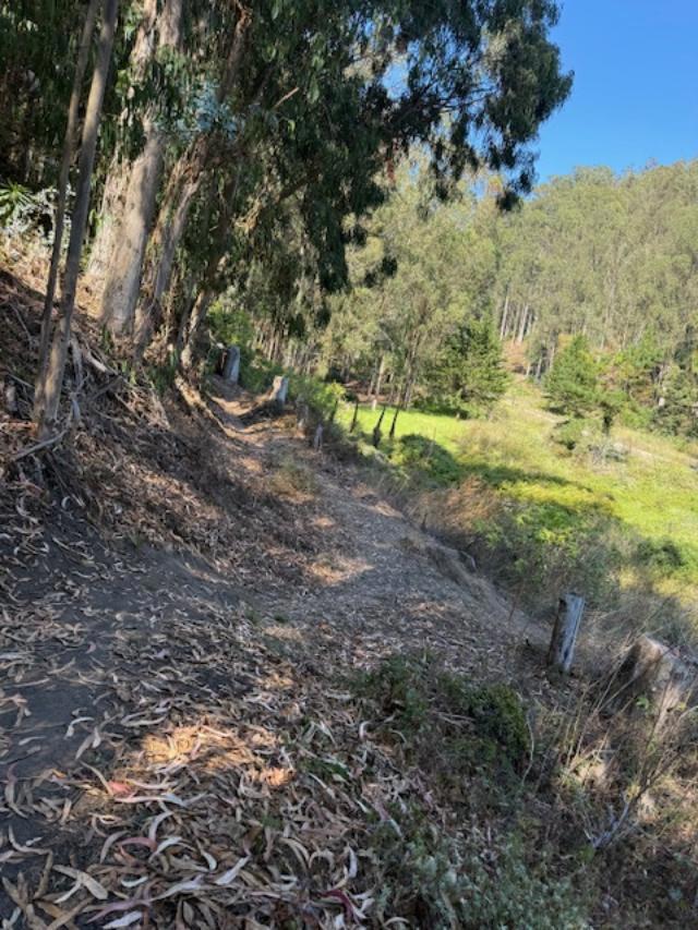 Bid4Assets.com > Auction Detail > (1241515) El Granada Highlands 7100 ...