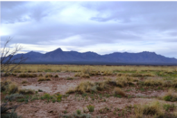 Bid4Assets.com > Auction Detail > (1209639) NM, Luna, 0.50 Acres ...